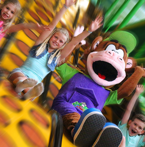 Monkey town - KidsCadeau